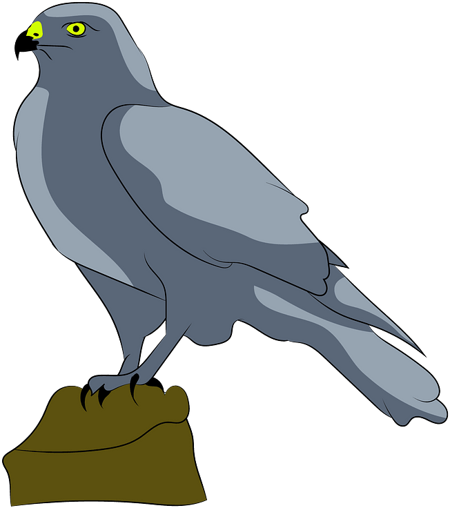 Falcon-clipart - Clip Art - Png Download - Full Size Clipart (#3823953 ...