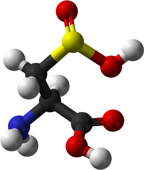 Cysteine Sulfinic Acid - 3d Structure Of Cysteine Clipart - Full Size ...