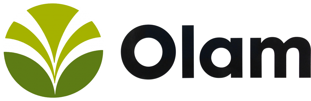 Olamlogo-1024x340 - Olam International Logo Png Clipart - Full Size ...