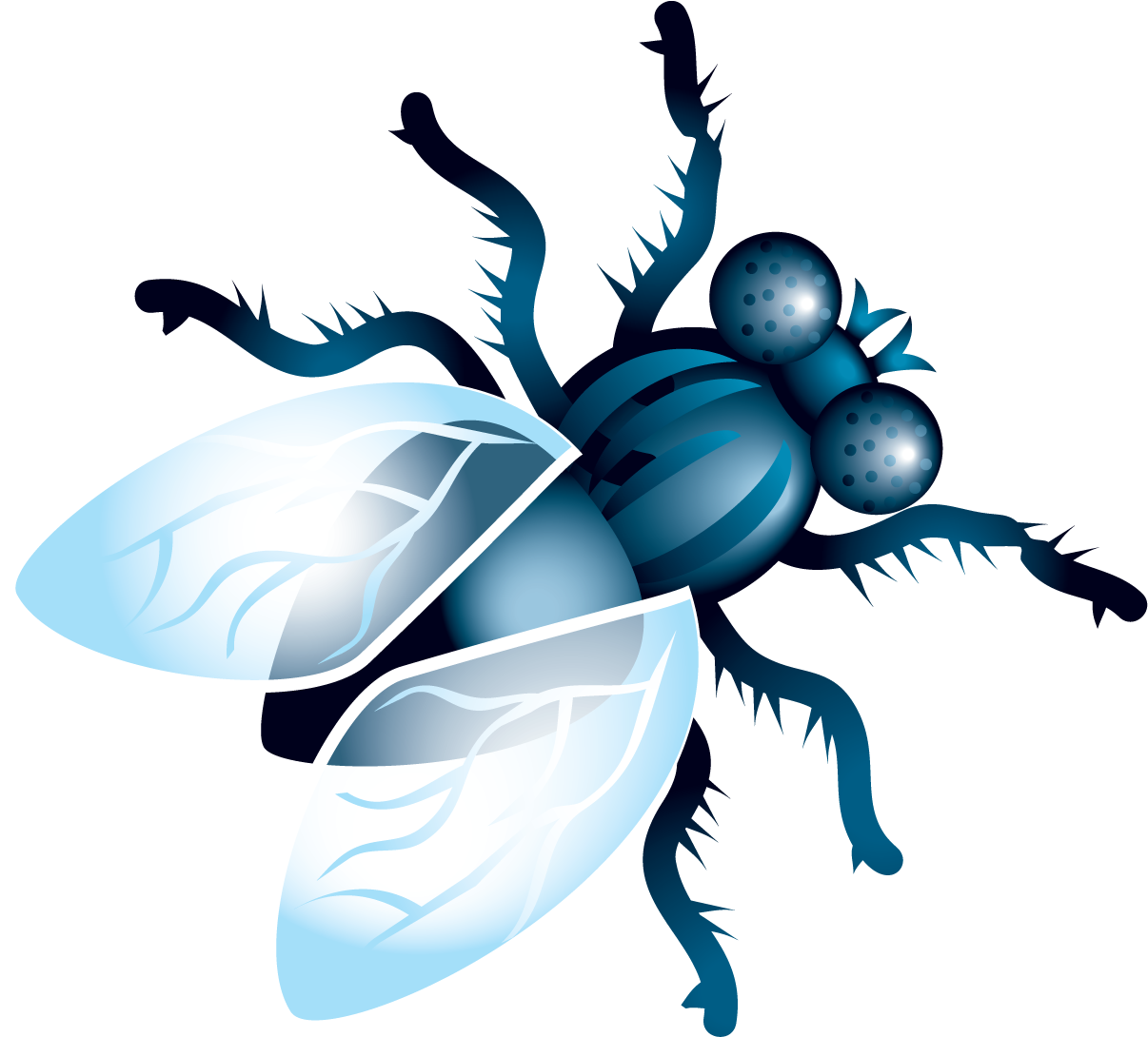 Free Images Toppng Transparent - Fly Png Clipart - Full Size Clipart ...