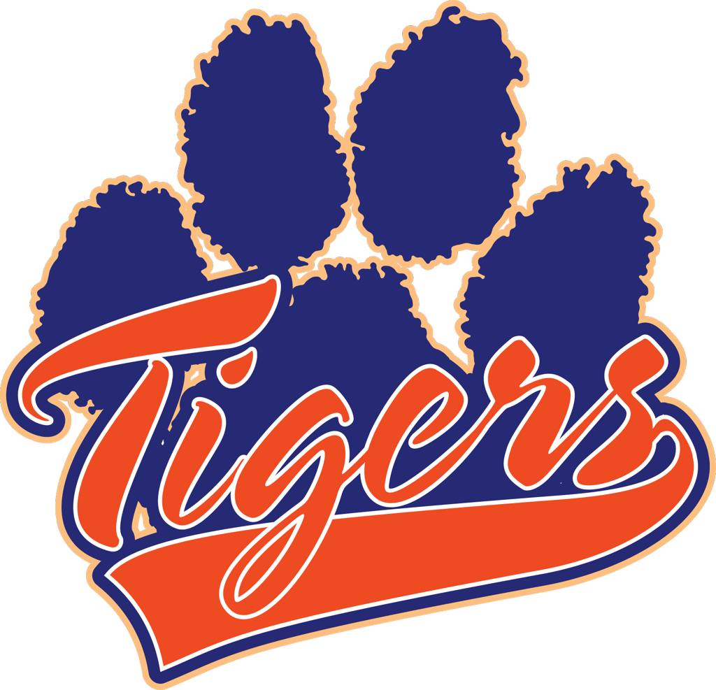 Tiger Clipart Baseball - Daniel Hand High School Logo - Png Download ...