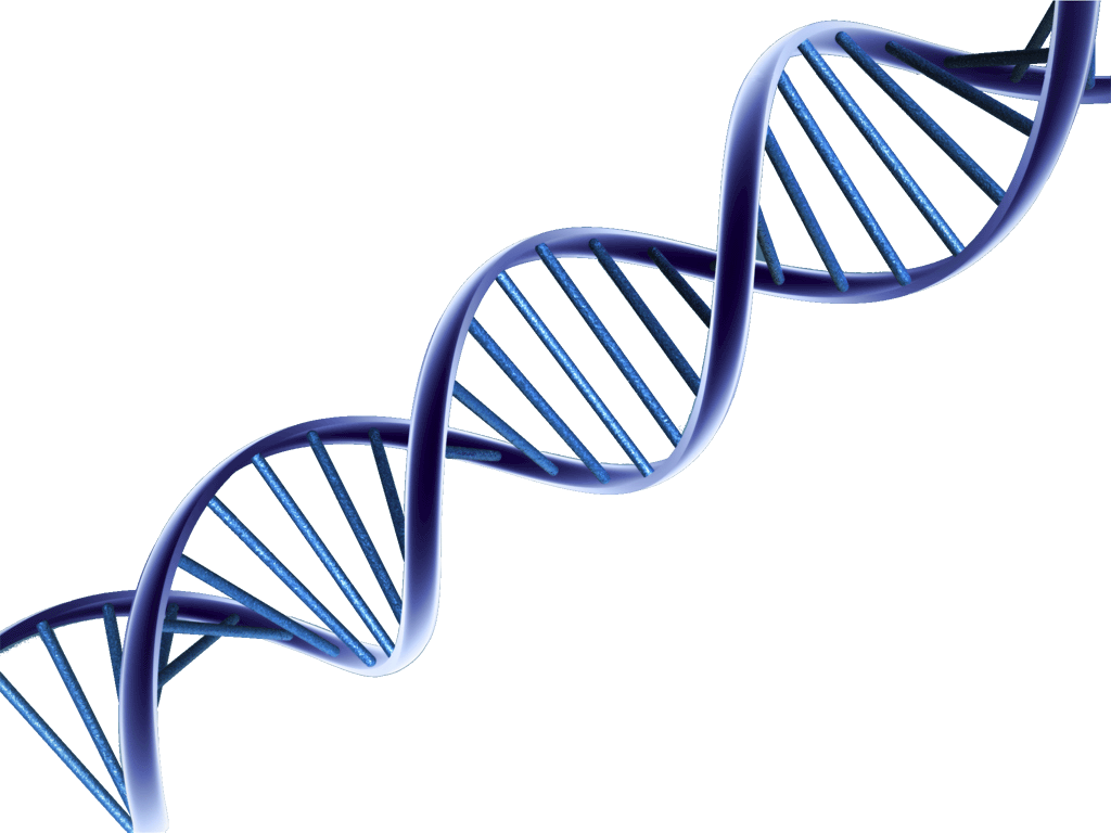 On The Ethics Of Gene Editing - Dna Vector Clipart - Full Size Clipart ...