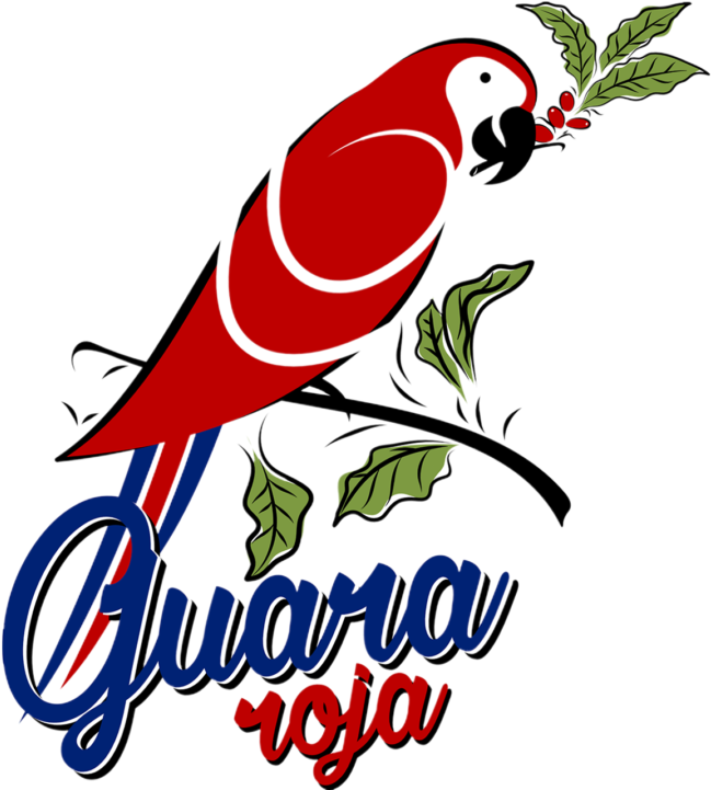 Guara Roja - Macaw Clipart - Full Size Clipart (#3925334) - PinClipart