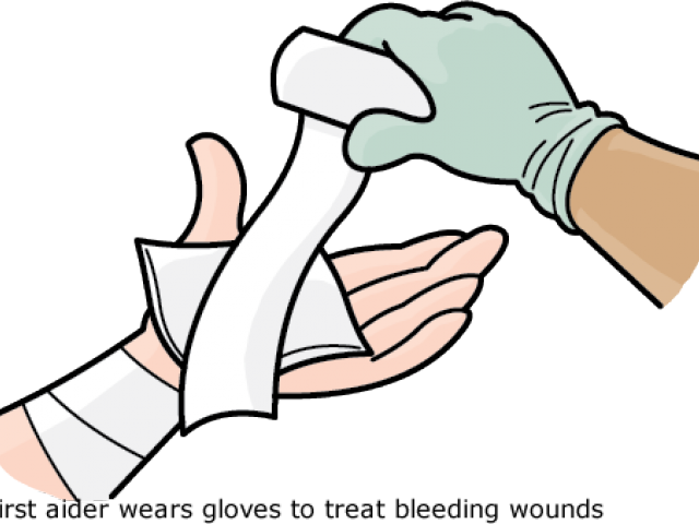Download Wound Clipart Transparent - Bleeding First Aid Clipart - Png ...