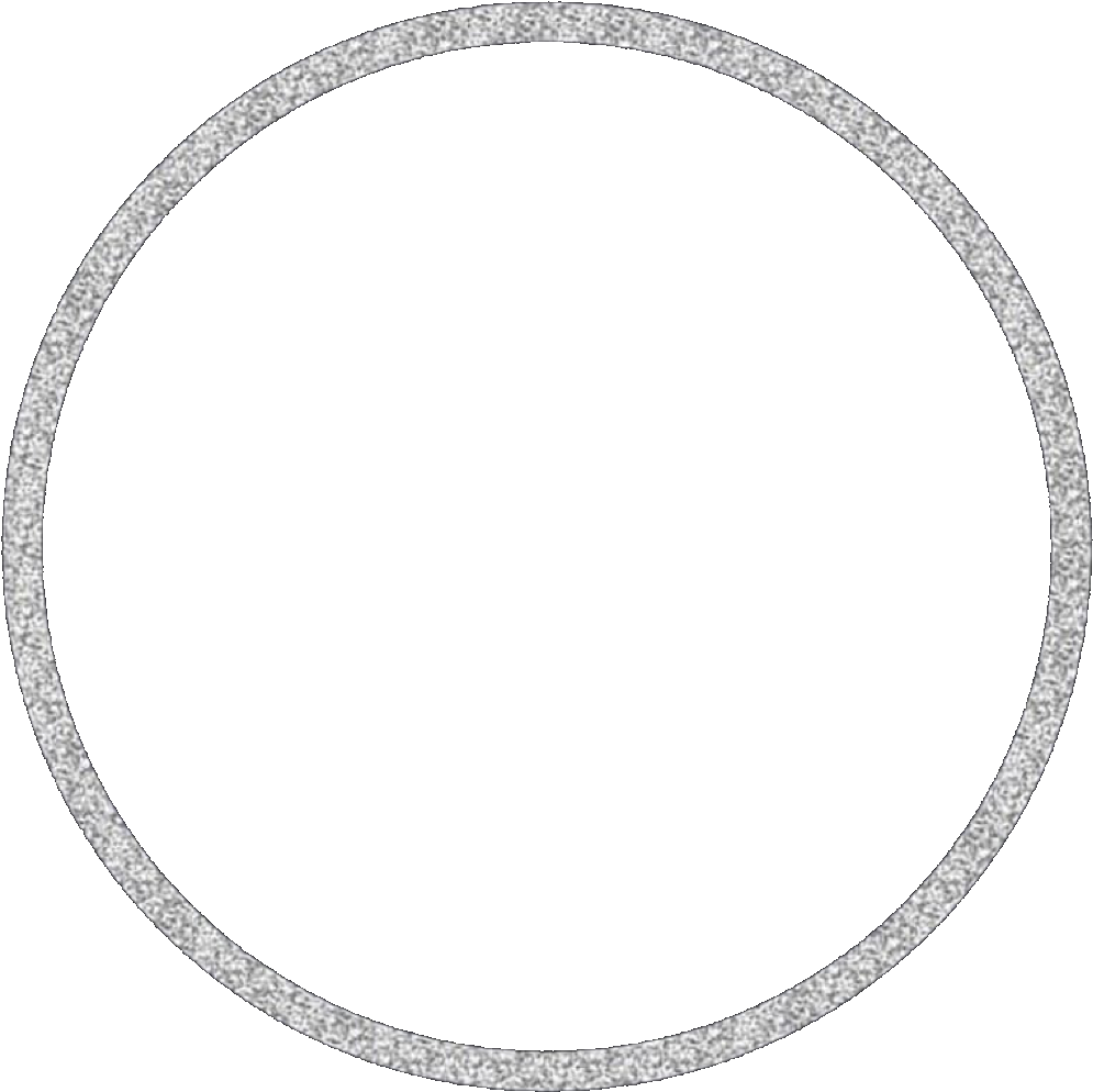 Download #circle #silver #silvercircle #glitter #frame #circleframe ...