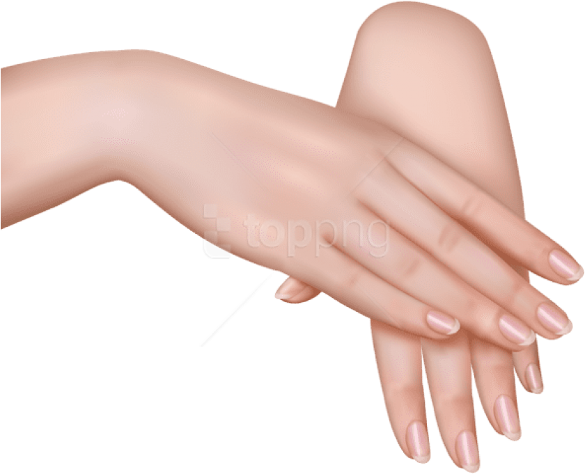Free Png Download Female Hands Clipart Png Photo Png - Female Hands ...