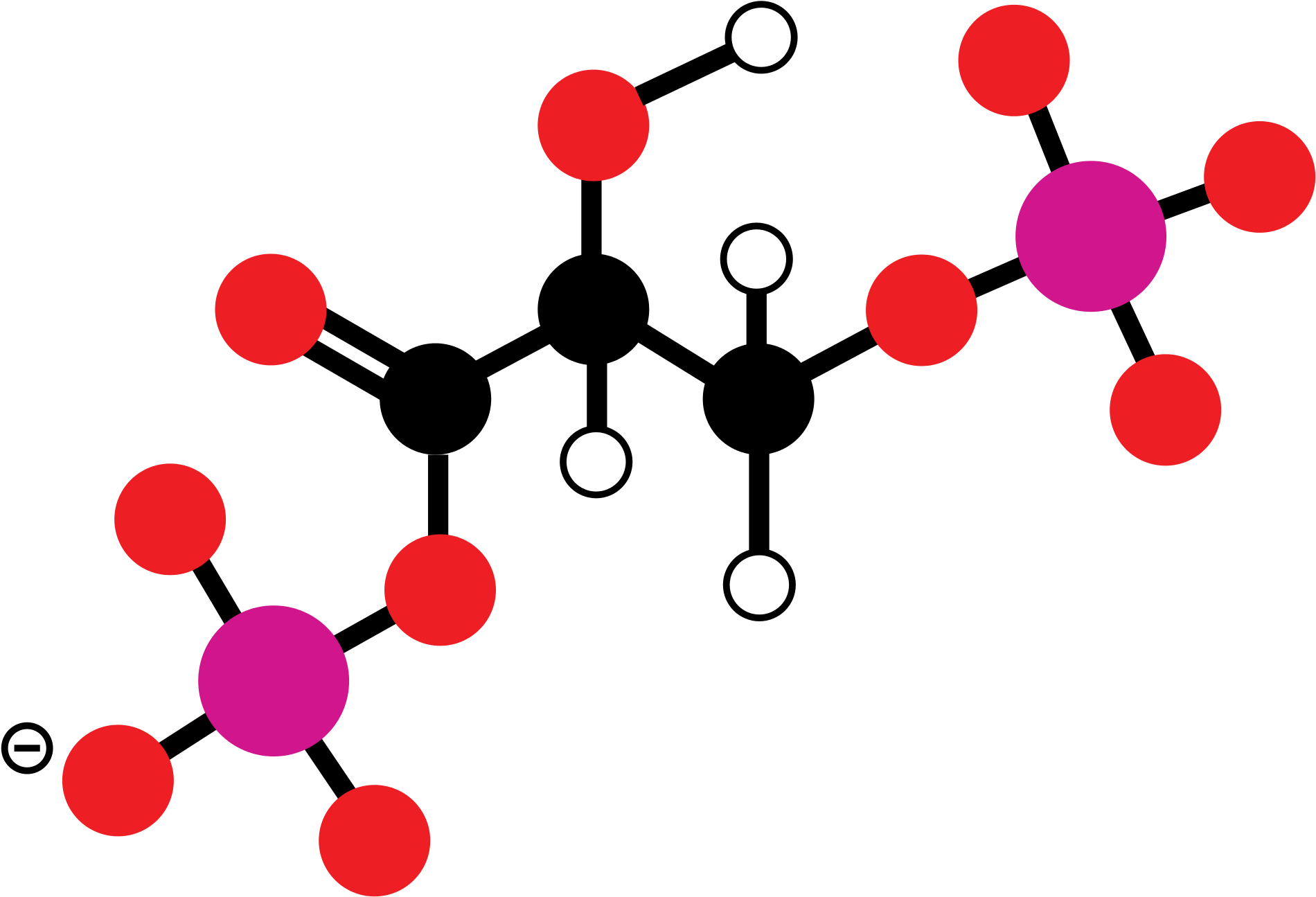 Open - Calvin Cycle Enzymes Involved Clipart - Full Size Clipart ...
