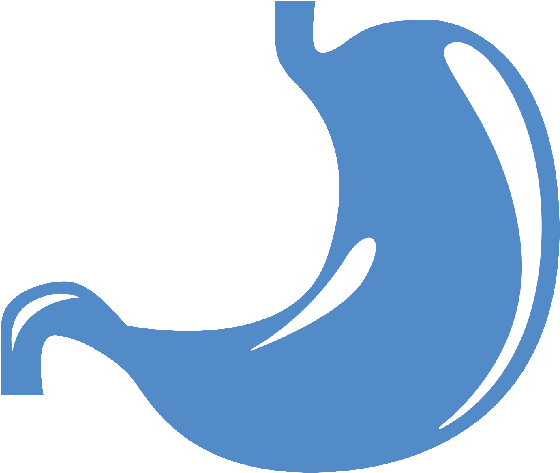 Gastroenterology Png Clipart - Full Size Clipart (#3949374) - PinClipart