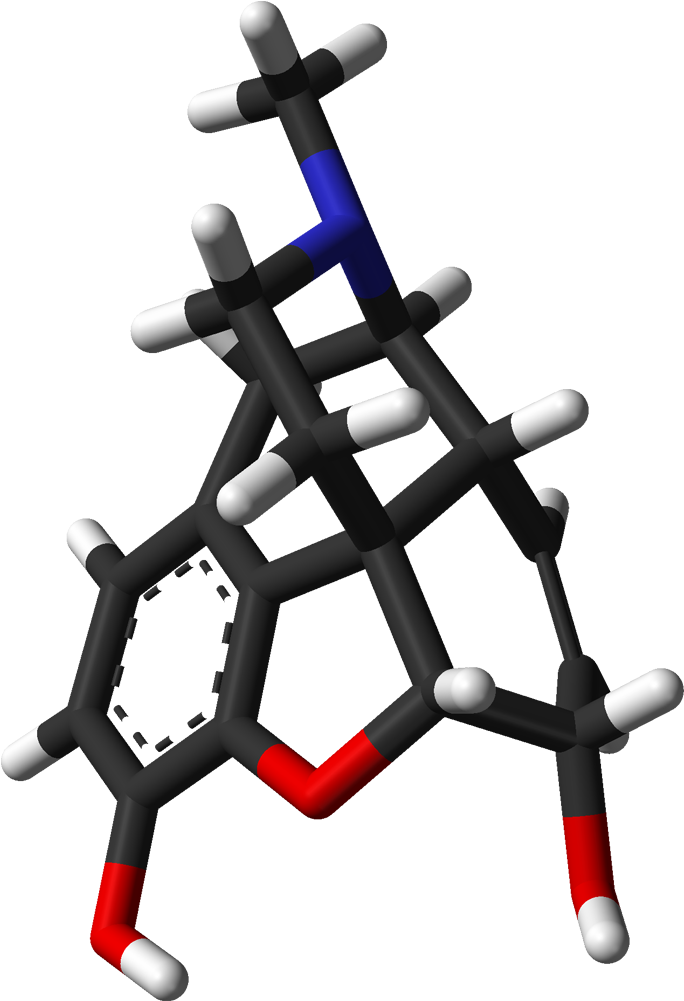 Morphine From Xtal 3d Sticks - Endorphins Structure Clipart - Full Size ...
