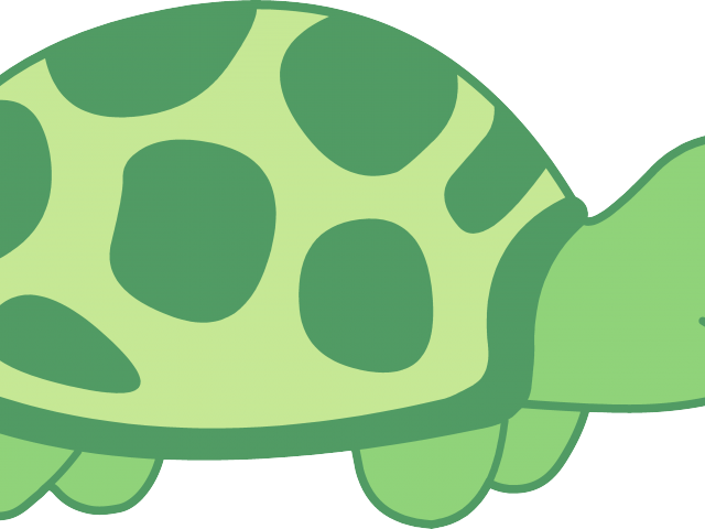 Green Clipart Seashell - Turtle Clip Art Png Transparent Png - Full ...