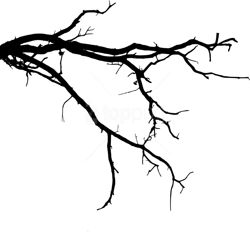 Download Free Png Tree Branch Png - Black Tree Limbs Png Clipart ...