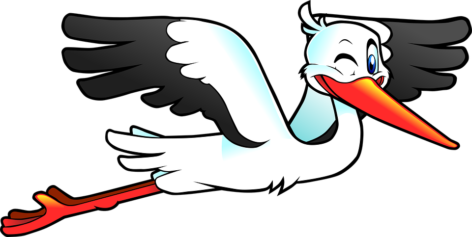 Clipart Of Discrete And Barza - Stork - Png Download - Full Size ...