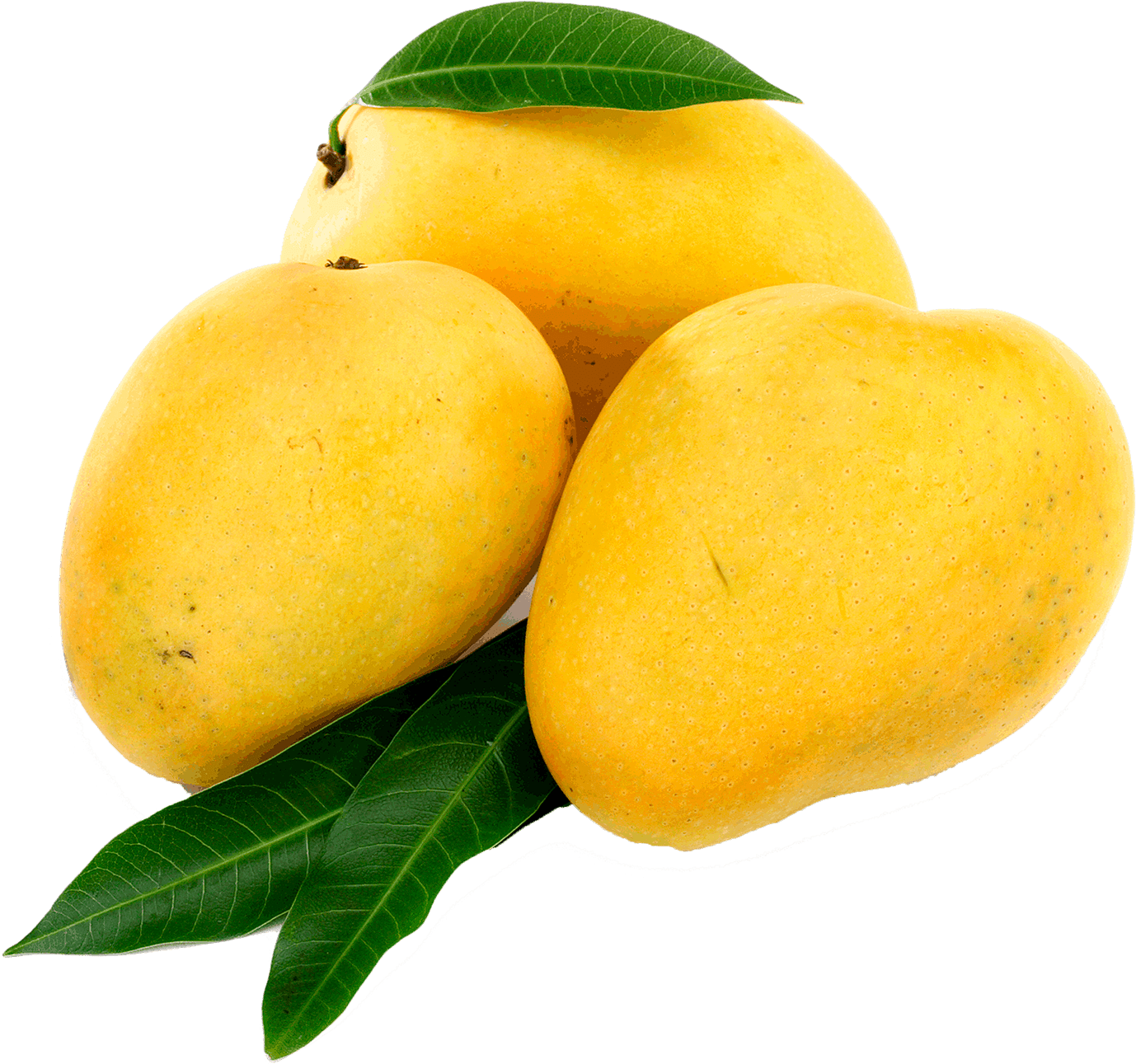 Mango Png Image Mango Clipart With Leaves Free Transparent Png Images ...