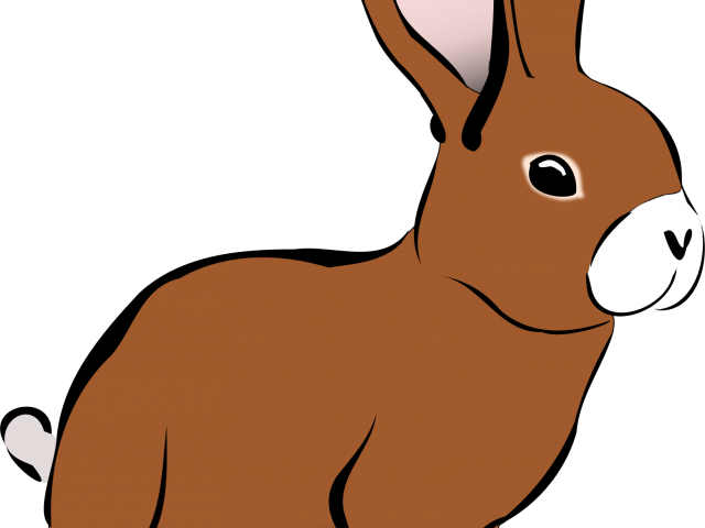 Download Small Clipart White Rabbit - Rabbit Pet Clipart - Png Download ...
