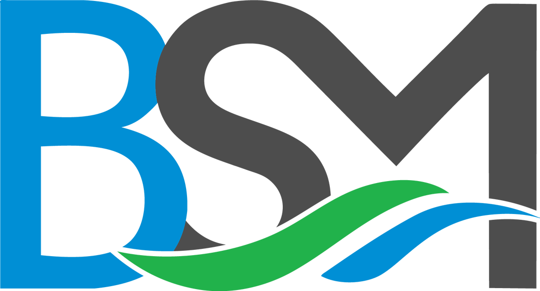 Engaging College Students To Follow Christ And Transform - Bsm Logo ...