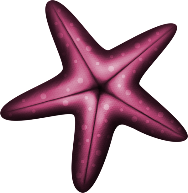 Starfish, Clip Art, Illustrations, Pictures - Png Download - Full Size ...