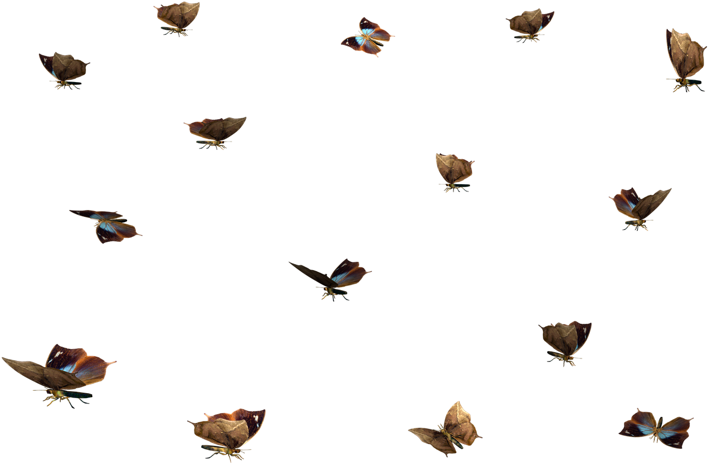 Clipart Till Photoshop - Swarm Of Butterflies Transparent - Png ...