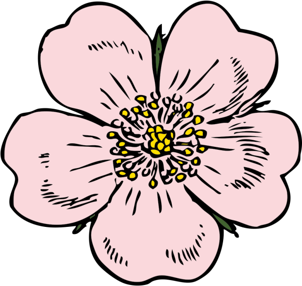 Wild Rose Clip Art - Png Download - Full Size Clipart (#46523) - PinClipart