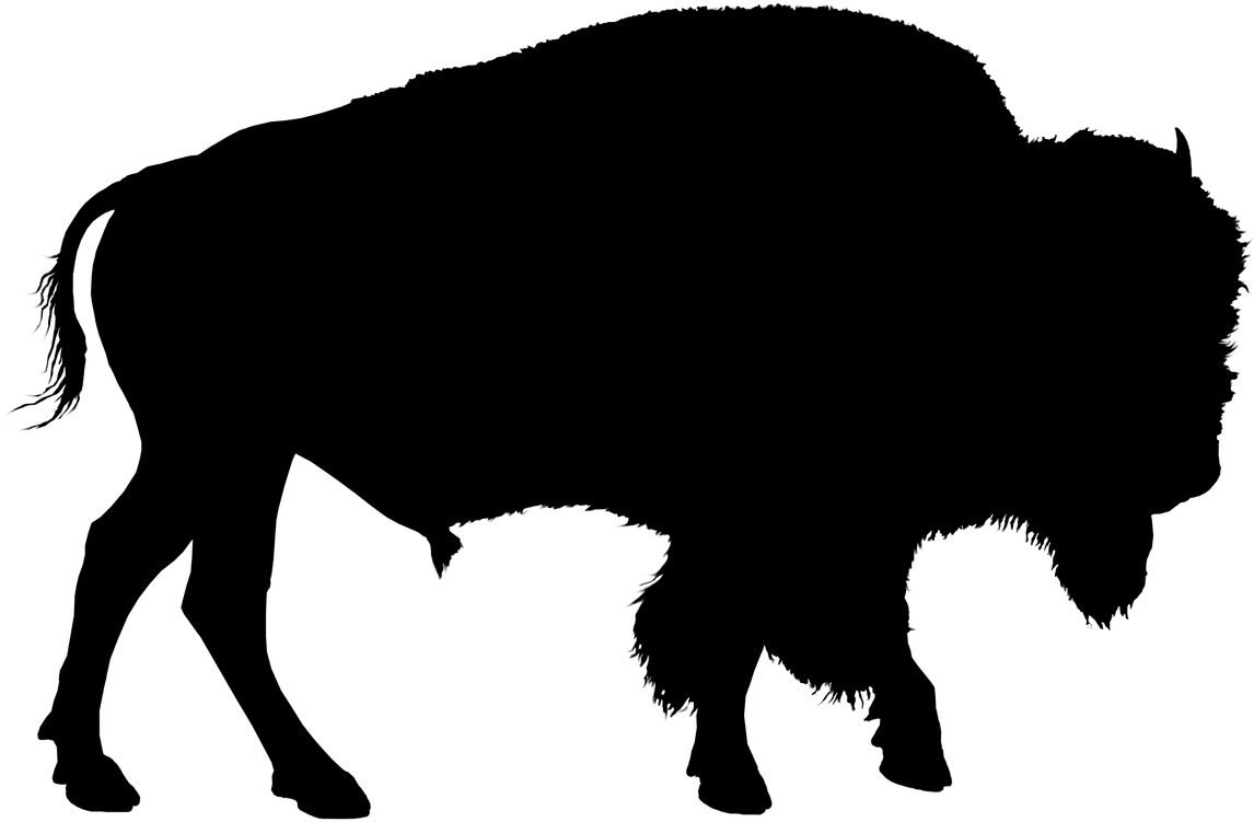 Clip Art Animal Bison American Drawing - Buffalo Silhouette - Png ...