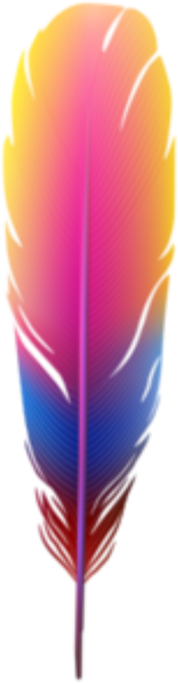 Feather Feathers Boho Bohemian Bohofeathers Tribal Clipart - Full Size ...