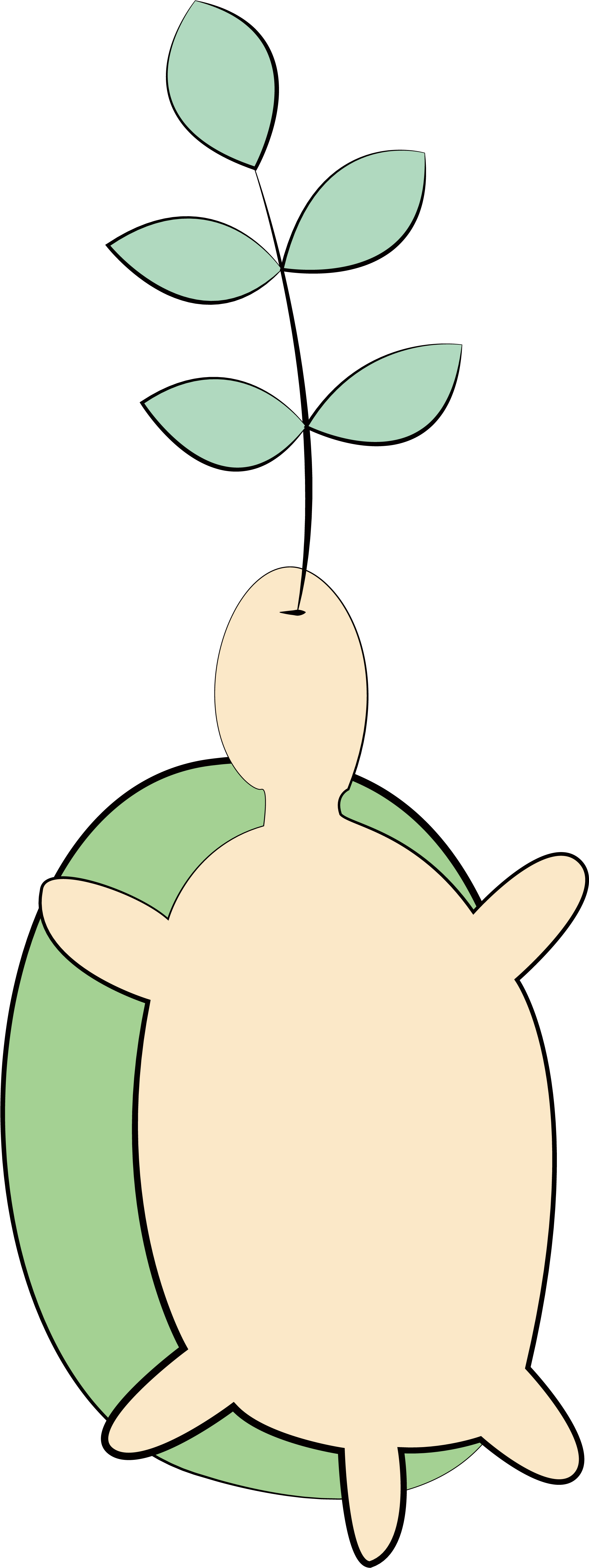 Turtle Leaves Cute Sticks Png And Vector Image Clipart - Full Size ...