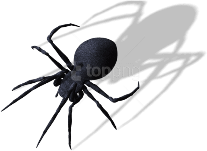 Free Png Spider Png Images Transparent - Spider Png Clipart - Full Size ...