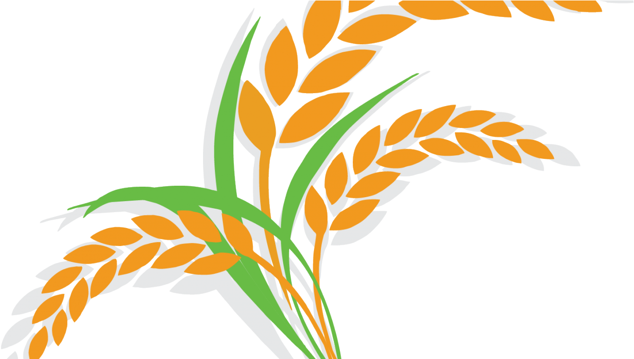 Cartoon Rice Clipart - Full Size Clipart (#4030624) - PinClipart