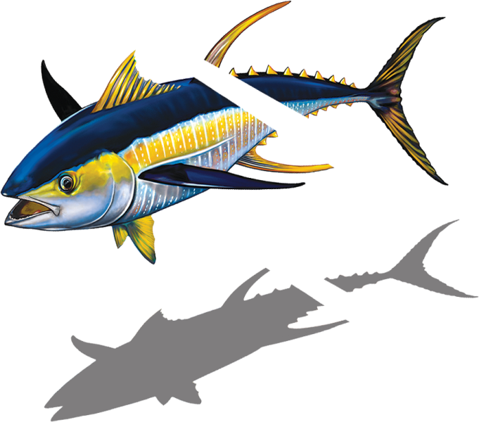 681 X 600 1 0 - Billfish Clipart - Full Size Clipart (#4069231 ...