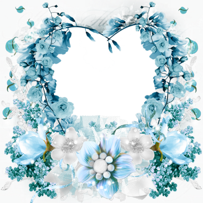 0 Bbdbd 87730978 Xl - Clip Art - Png Download - Full Size Clipart ...