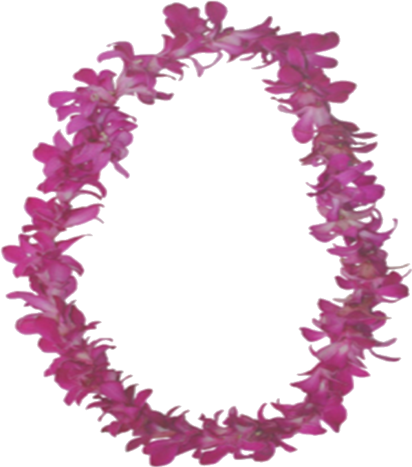 Flower Lei Png - Flower Necklace Hawaiian Lei Png Clipart - Full Size ...