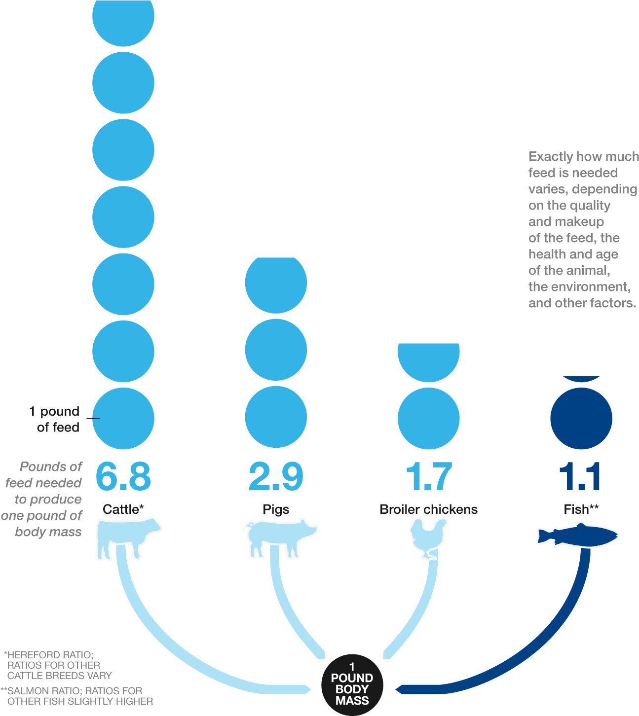 Graphic Of The Feed Conversion Ratio Of Cattle Pigs Feed Conversion Ratio Fish Clipart graphic-of-the-feed-conversion-ratio-of-cattle-pigs-feed-conversion-ratio-fish-clipart
