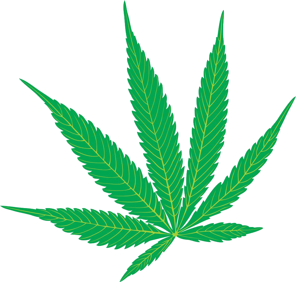 Pot Leaf Png KAMPION