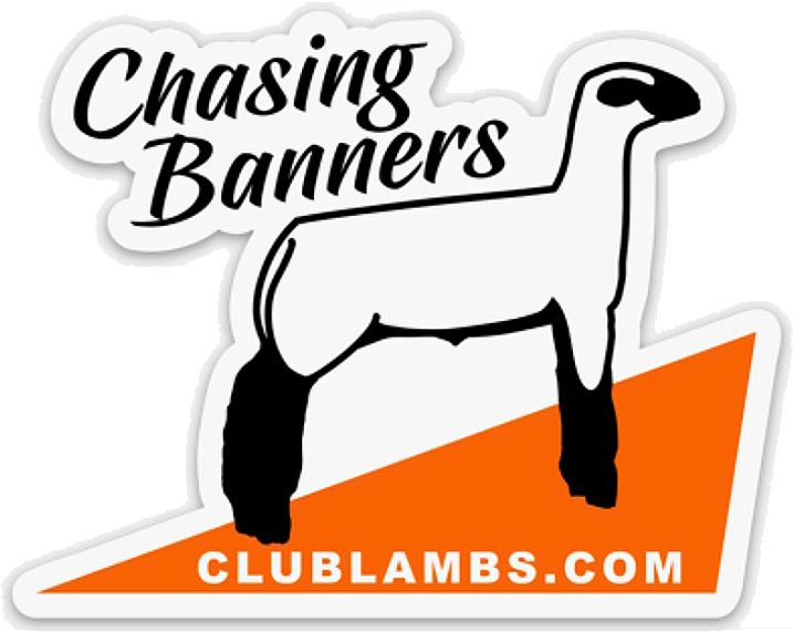 Show Lamb Stickers For Sale Clipart - Full Size Clipart (#4133522 ...