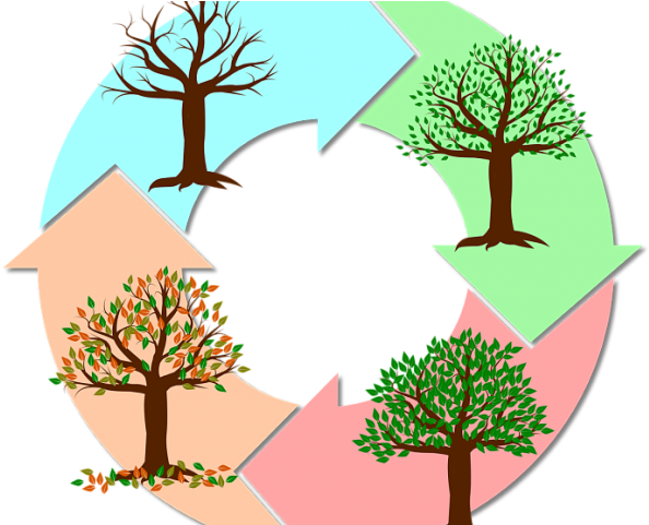 Refund Clipart Old Money - Vasara Ziema Ruduo Pavasaris - Png Download ...