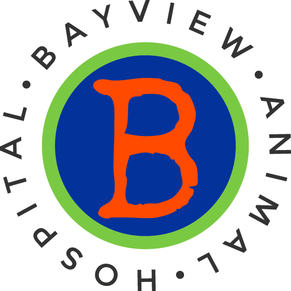 Bayview Animal Hospital Bayview Animal Hospital - Oral Health ...