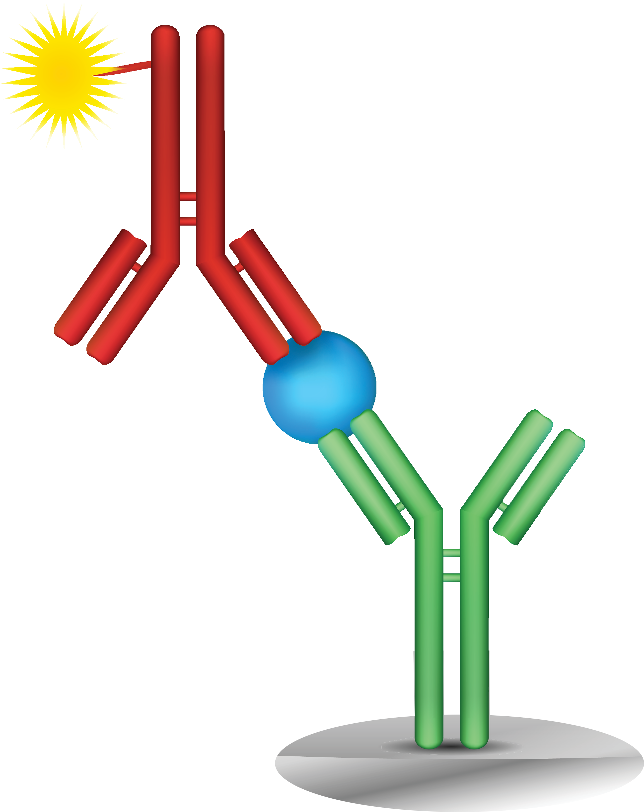 Meso Scale Discovery Ecl Technology Overview - Counting Immunoassays ...