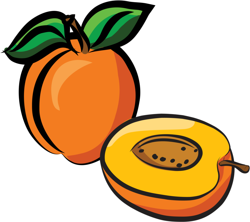 Apricot Rgb-01 - Dessin Abricot Clipart - Full Size Clipart (#4178384 ...