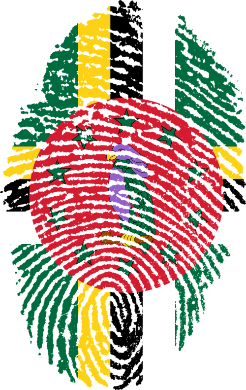 Flag Fingerprints Countries Png Clipart - Full Size Clipart (#426330 ...