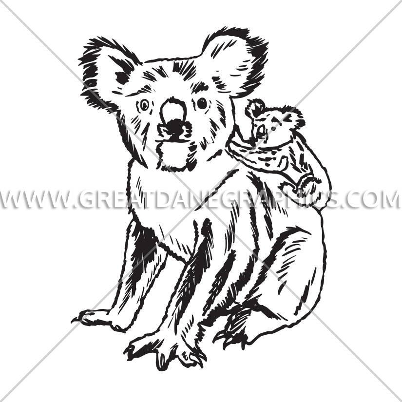 Koala Drawing Sketch - Illustration Clipart - Full Size Clipart ...