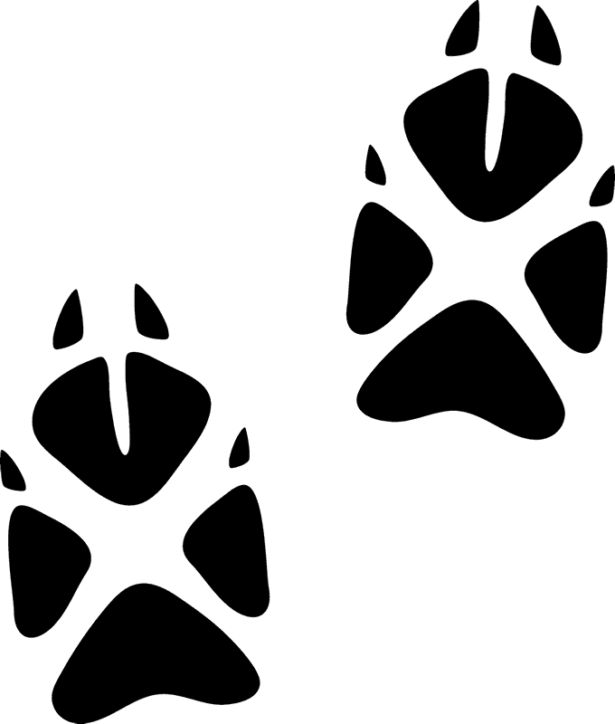 Fox Tracks Rubber Stamp - Fox's Paws Stencil Clipart - Full Size ...