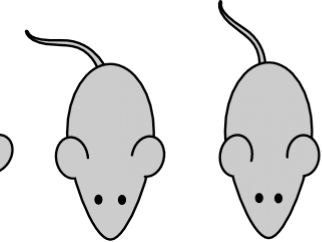 Rat Clipart Template - Png Download - Full Size Clipart (#4227970 ...