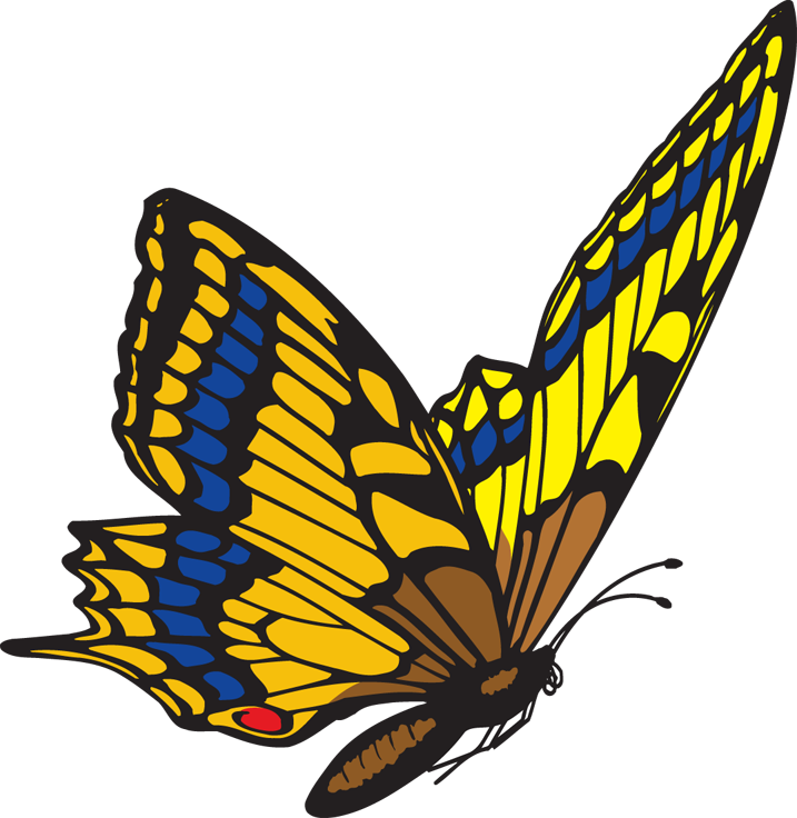 Download Clipart Of Butterfly, Creative Commons Open And Bay - Papilio ...