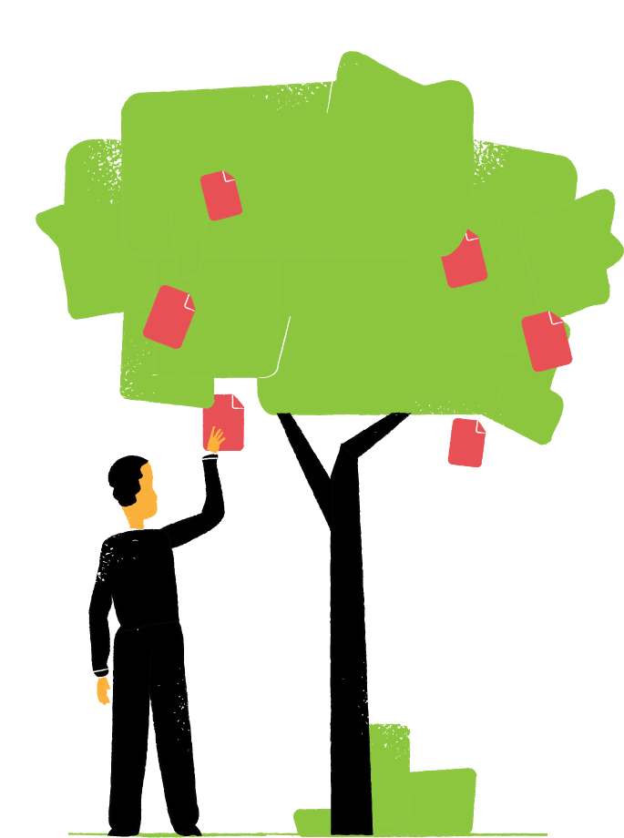 Low Hanging Fruit - Low Hanging Fruit Transparent Clipart - Full Size ...