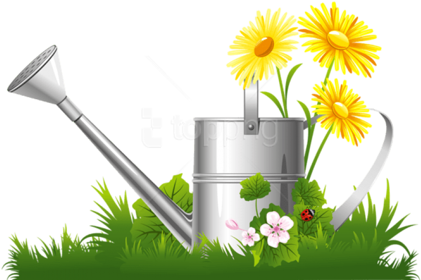 Free Png Spring Decoration With Water Can Grass And - Spring Flowers ...