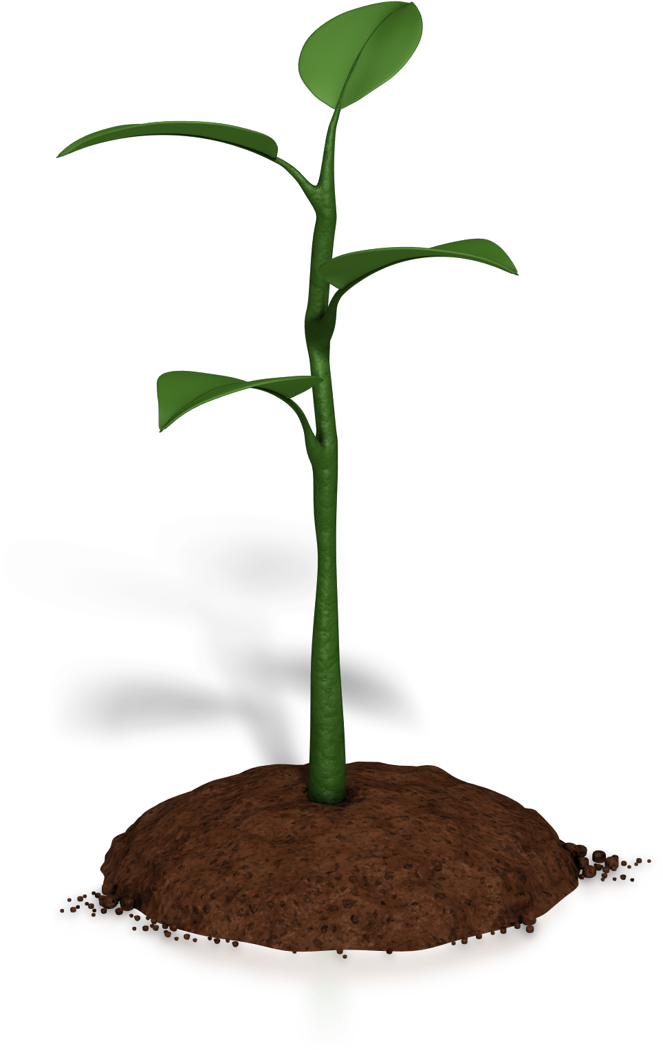 Soil Clipart Plant Growth - Plant Animations For Powerpoint - Png ...