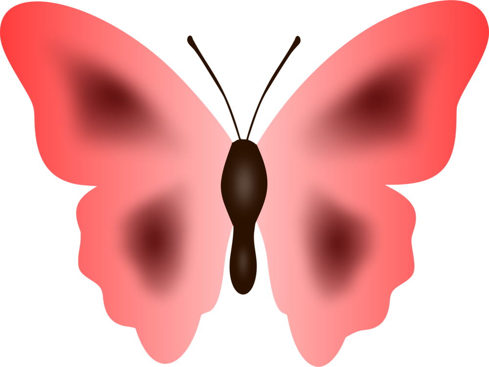 Butterfly Moth Cartoon Pink - Clip Art - Png Download - Full Size ...