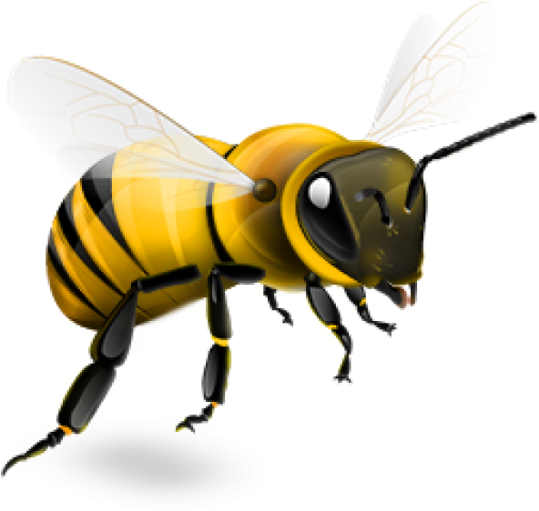 Download Bee Png - Transparent Background Bee Png Clipart (#4561376 ...