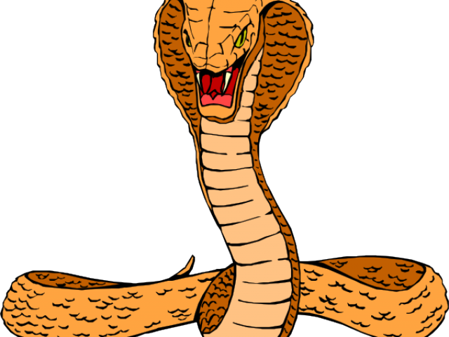 Realistic Snake Clip Art - Png Download - Full Size Clipart (#485603 ...