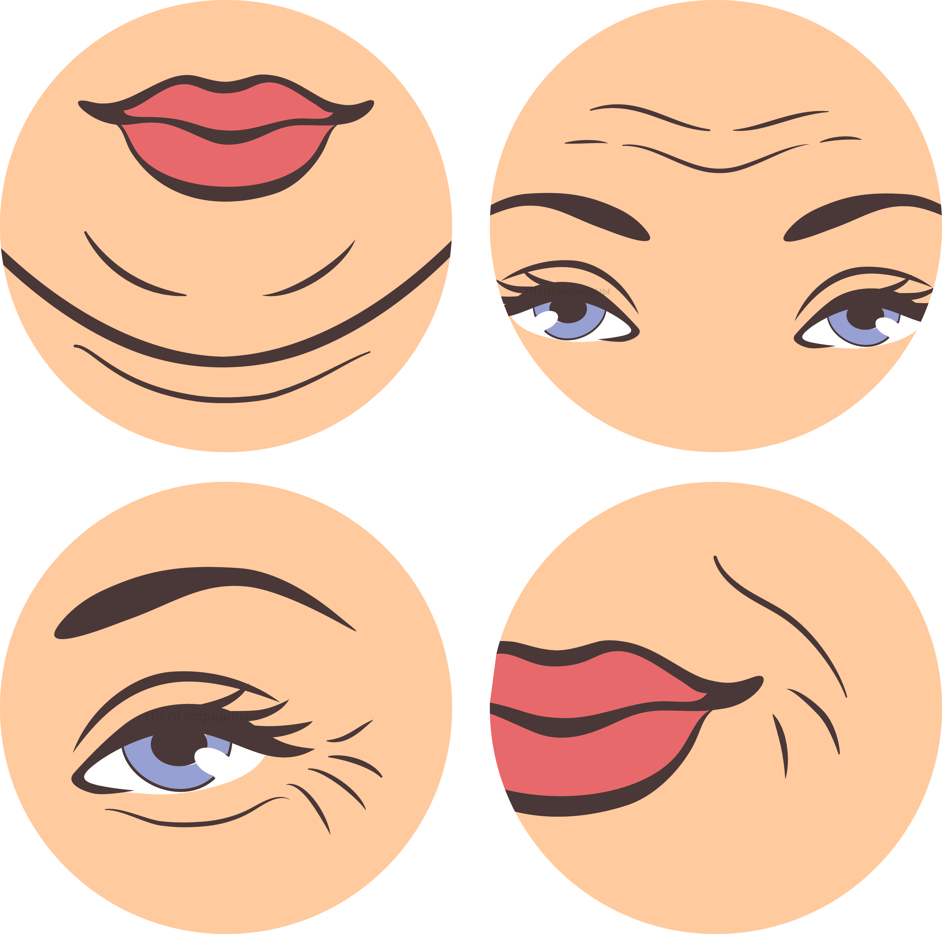 Download Wrinkle Face Botulinum - Wrinkles Vector Clipart (#4861621 ...