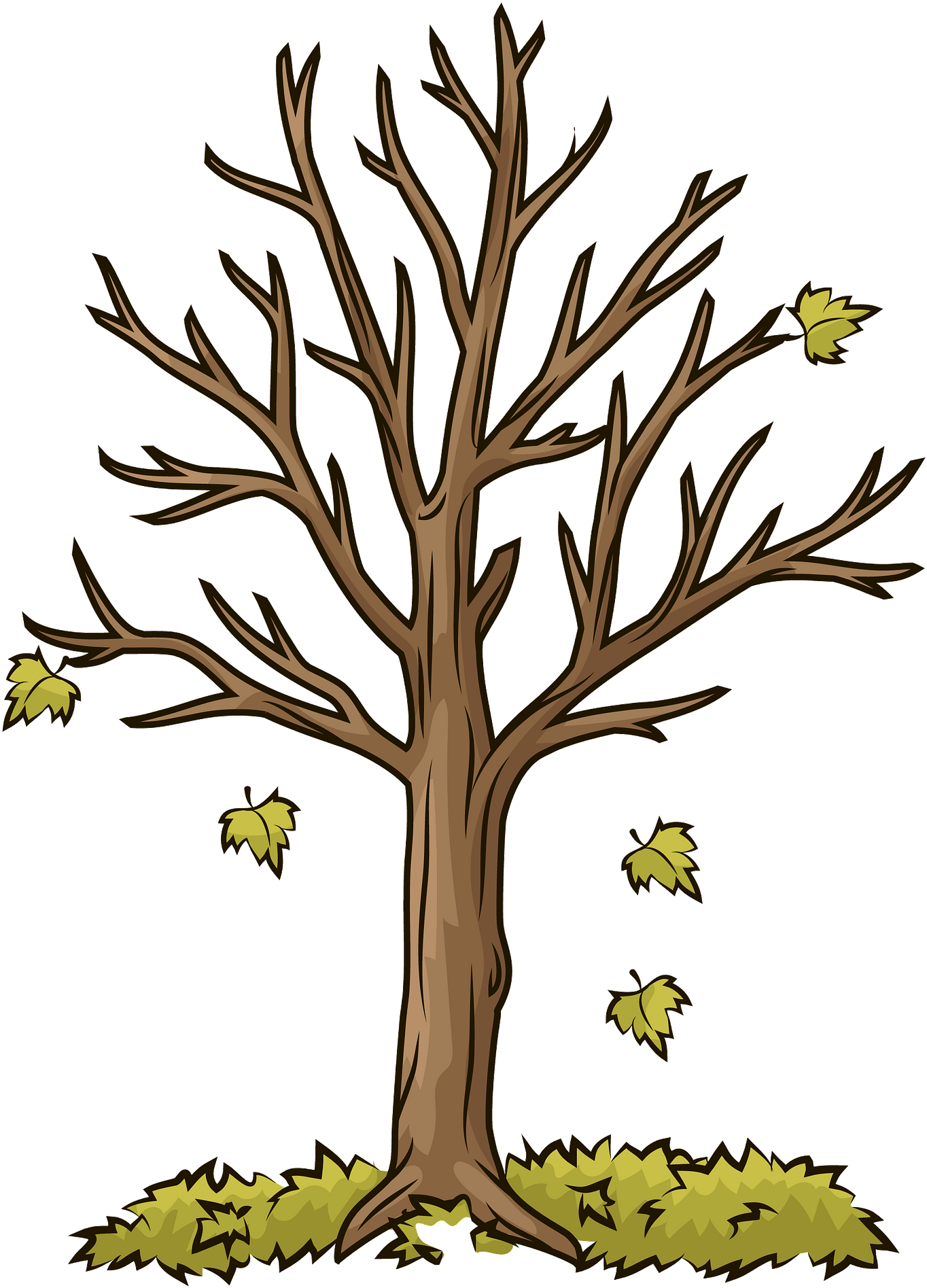Autumn Tree Clipart - Dibujo Arbol De Otoño - Png Download - Full Size ...